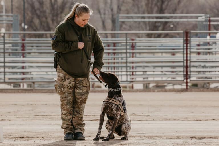 K-9 Unit - Garfield County Sheriff Colorado
